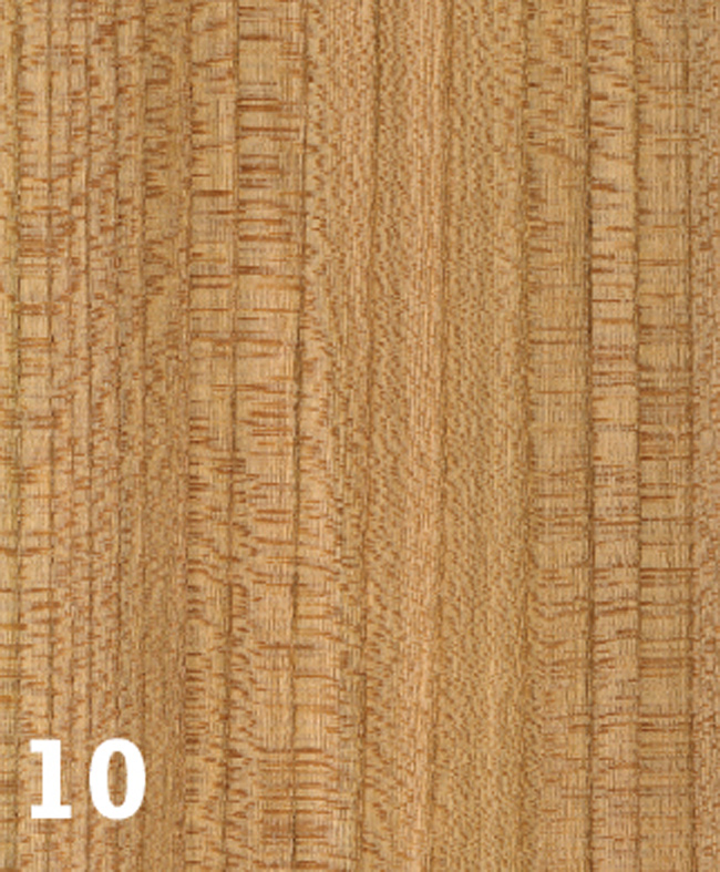 Essenze legno nostrane | Bricoportale