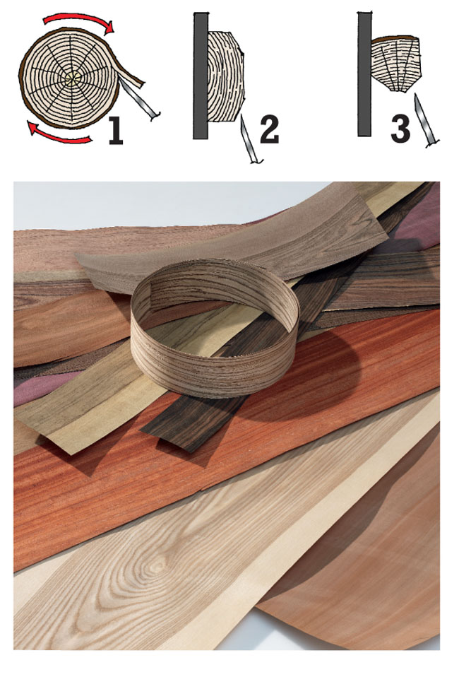 Dall'albero alle tavole di legno | Bricolage - Bricoportale